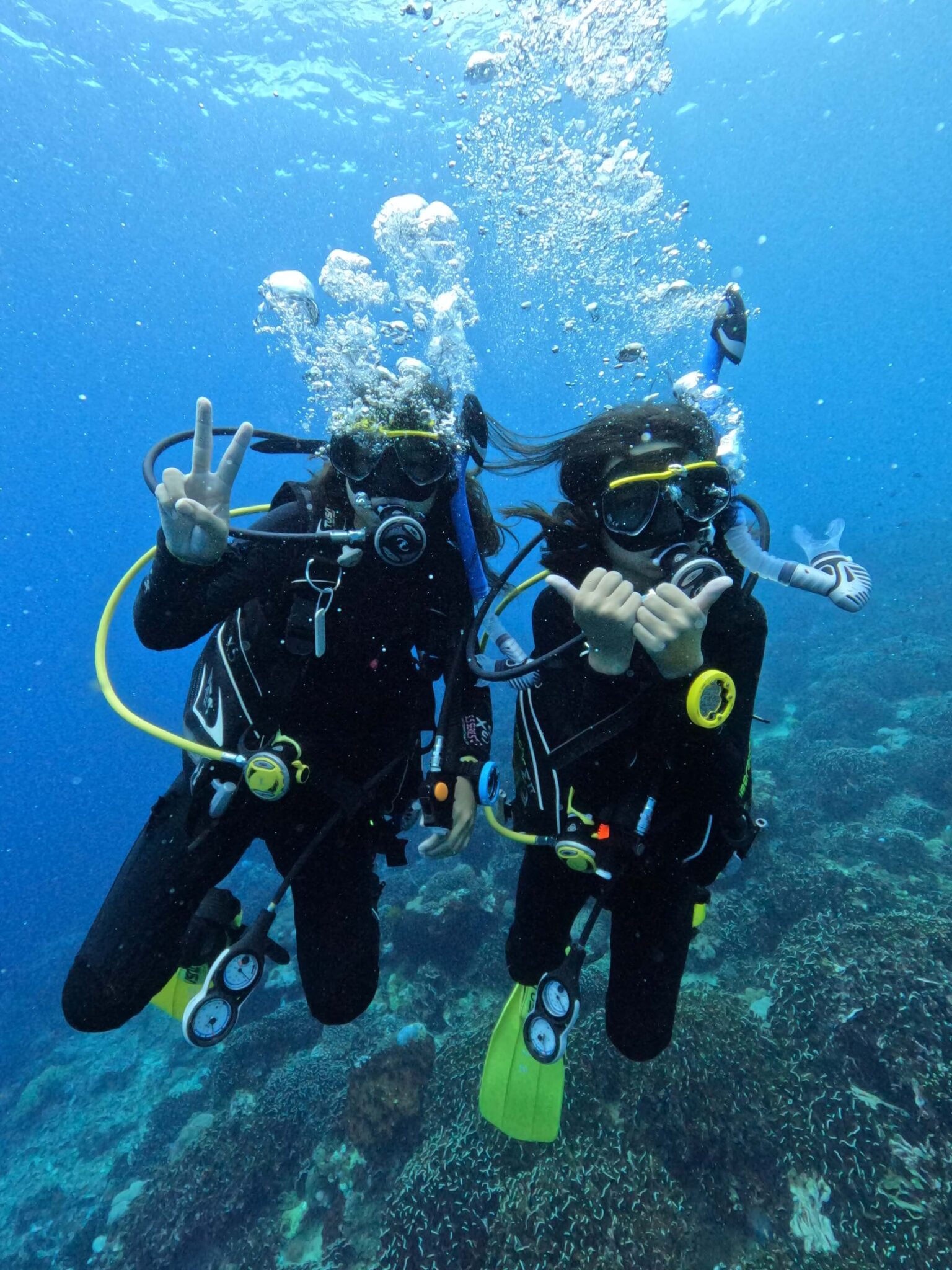 Introducing the 2025 PADI Junior AmbassaDivers