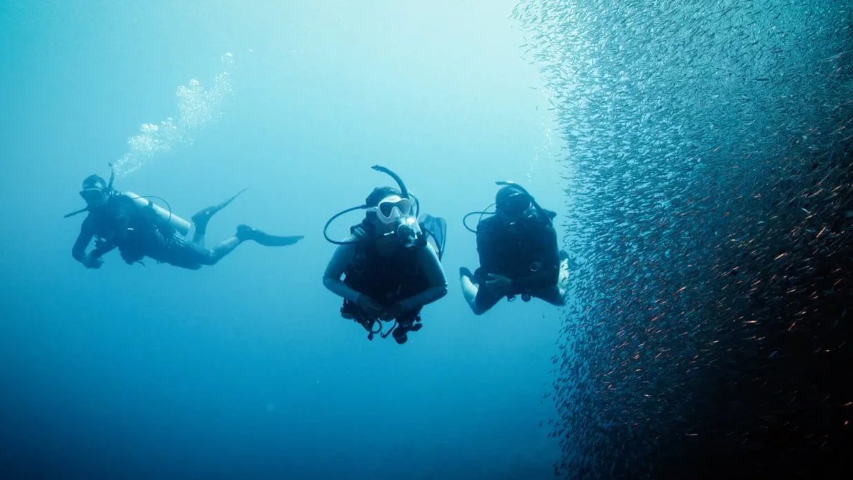 5 Dive Sites That Prove the Deep Diver Course Is Worth It