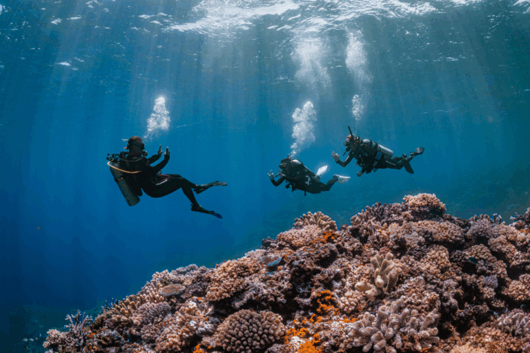 What's Covered in the PADI Divemaster Course?