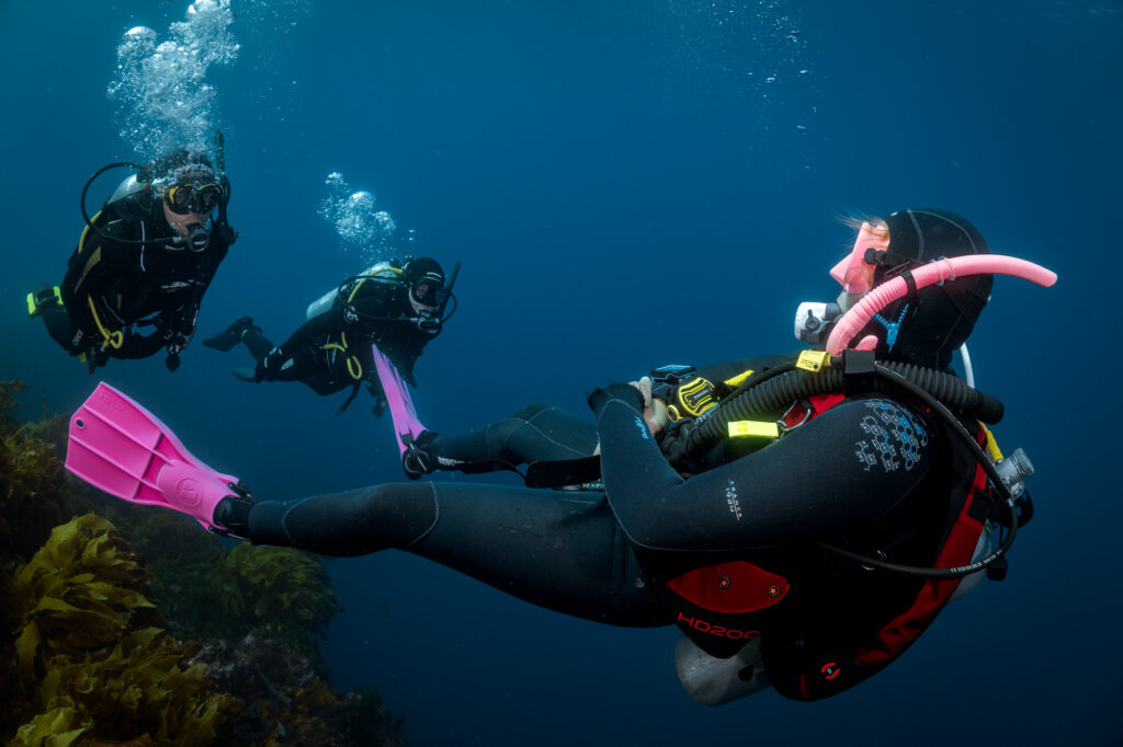 Become a PADI Instructor With the Most Recognized PADI Five Star ...